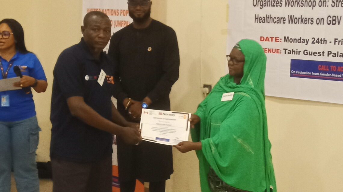 UNFPA Equips Borno Nursing Staff to Combat GBV and Improve SRH in ...